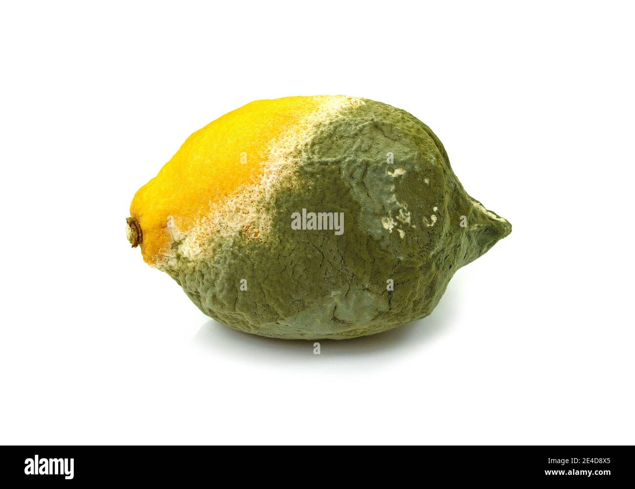 Unusable rotten lemon fruit isolated on white background Stock Photo ...