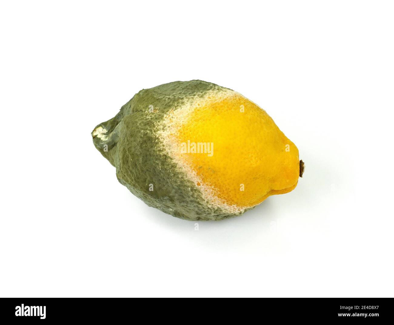 Unusable rotten lemon fruit isolated on white background Stock Photo ...