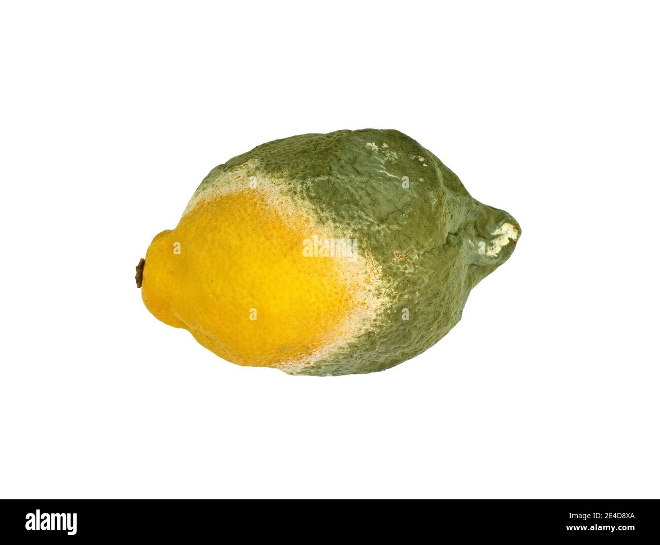 Unusable rotten lemon fruit isolated on white background Stock Photo ...