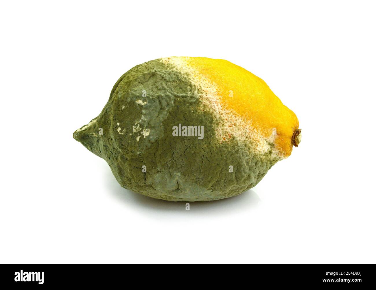 Unusable rotten lemon fruit isolated on white background Stock Photo ...