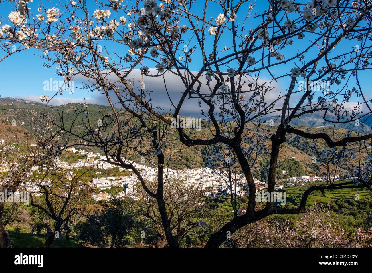 View of the white village of Tolox at Natural Park Sierra de las Nieves ...