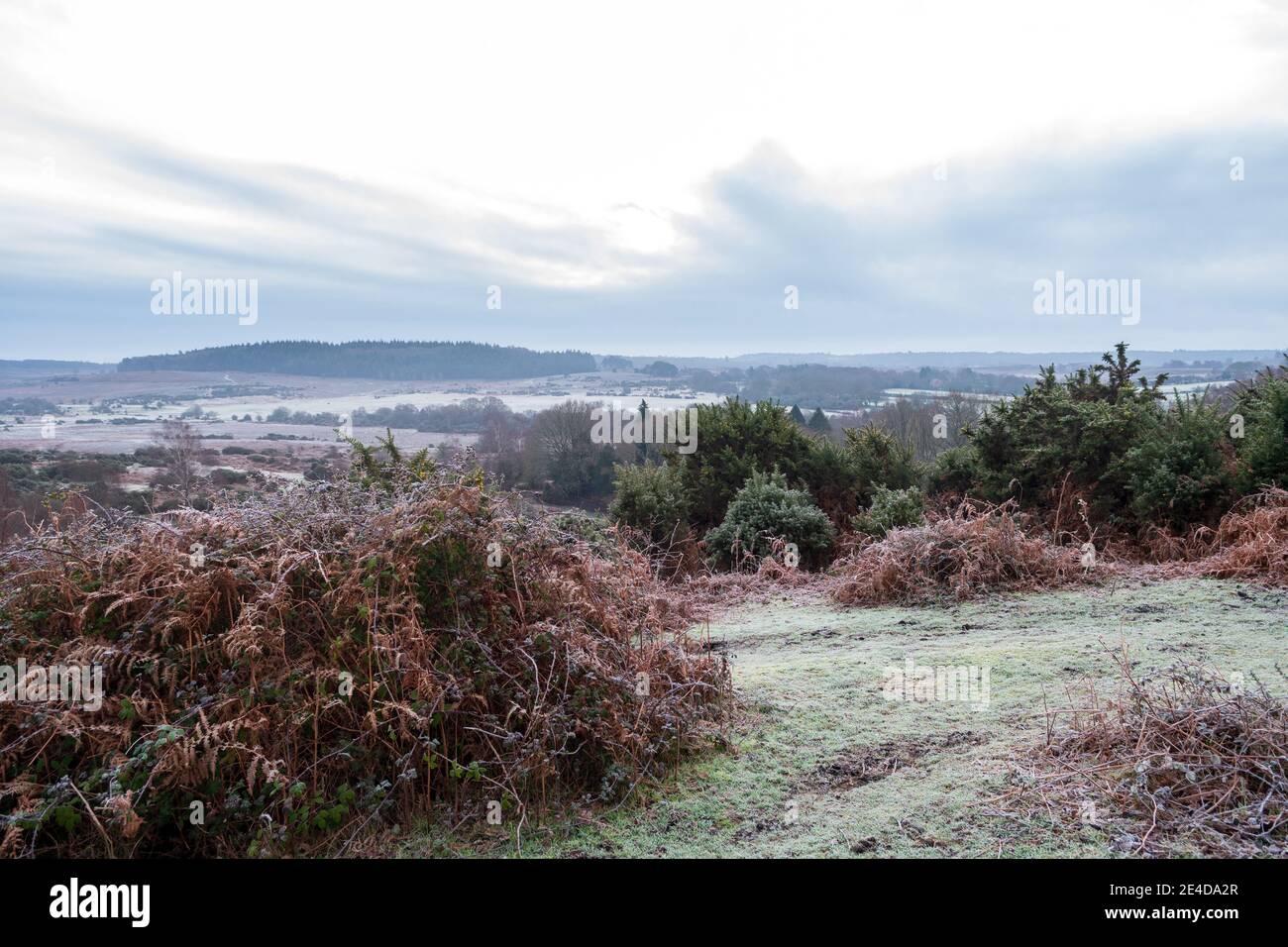 Ogdens hi-res stock photography and images - Alamy