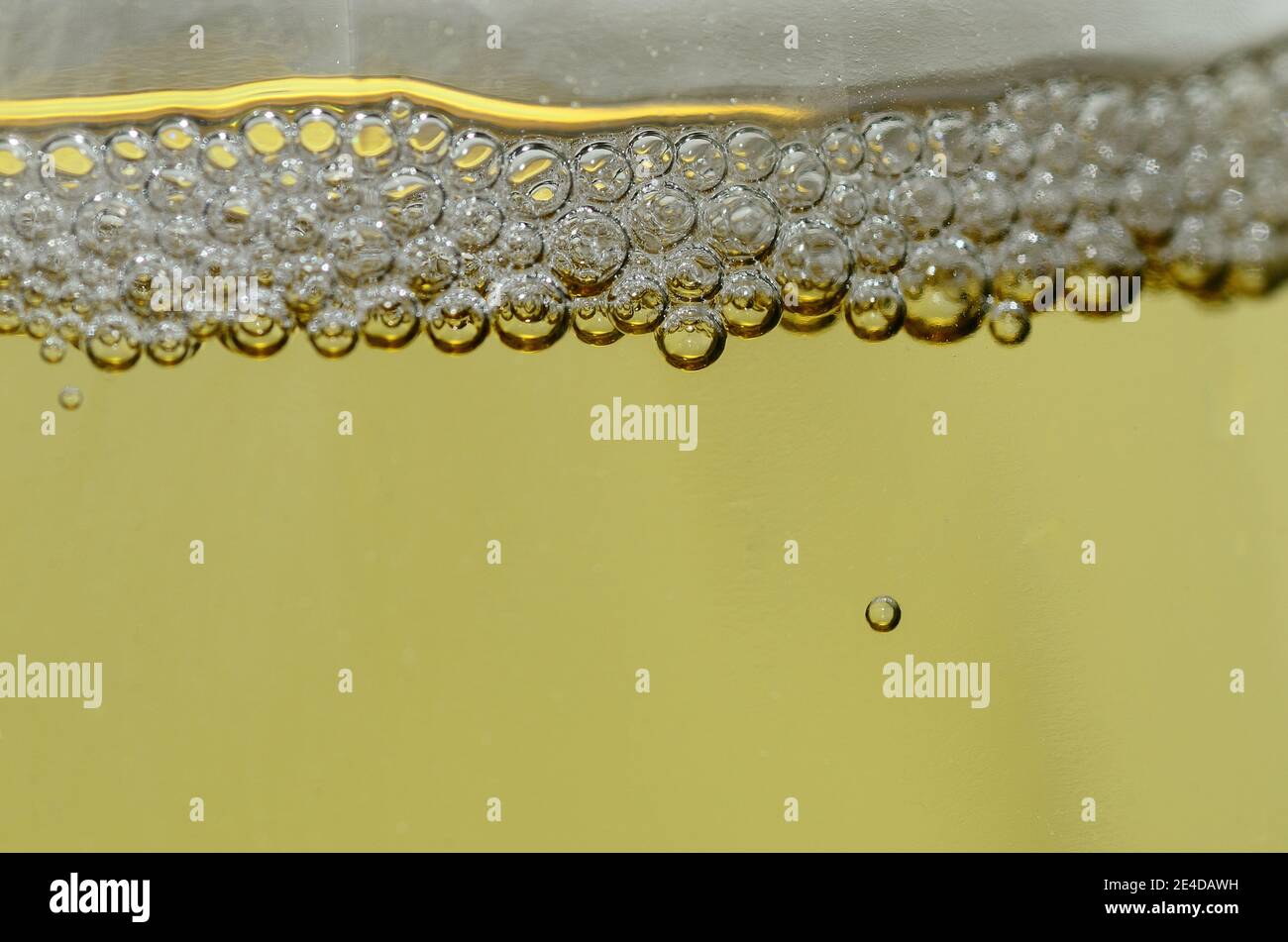 bubbling champagne in a glass with many pearls Stock Photo - Alamy