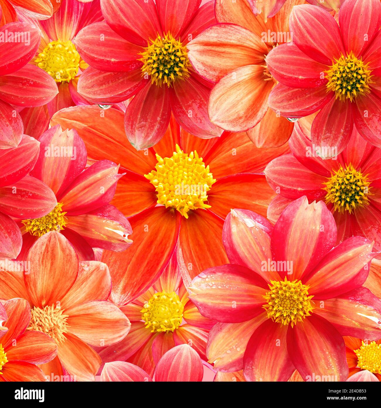 seamless floral pattern of various red flowers Stock Photo - Alamy