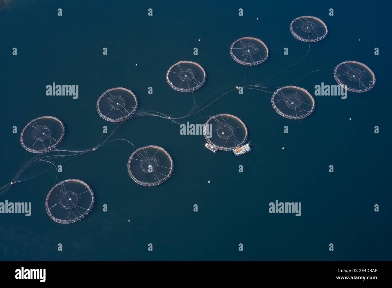 Fish farm salmon round nets in natural environment Isle of Skye ...