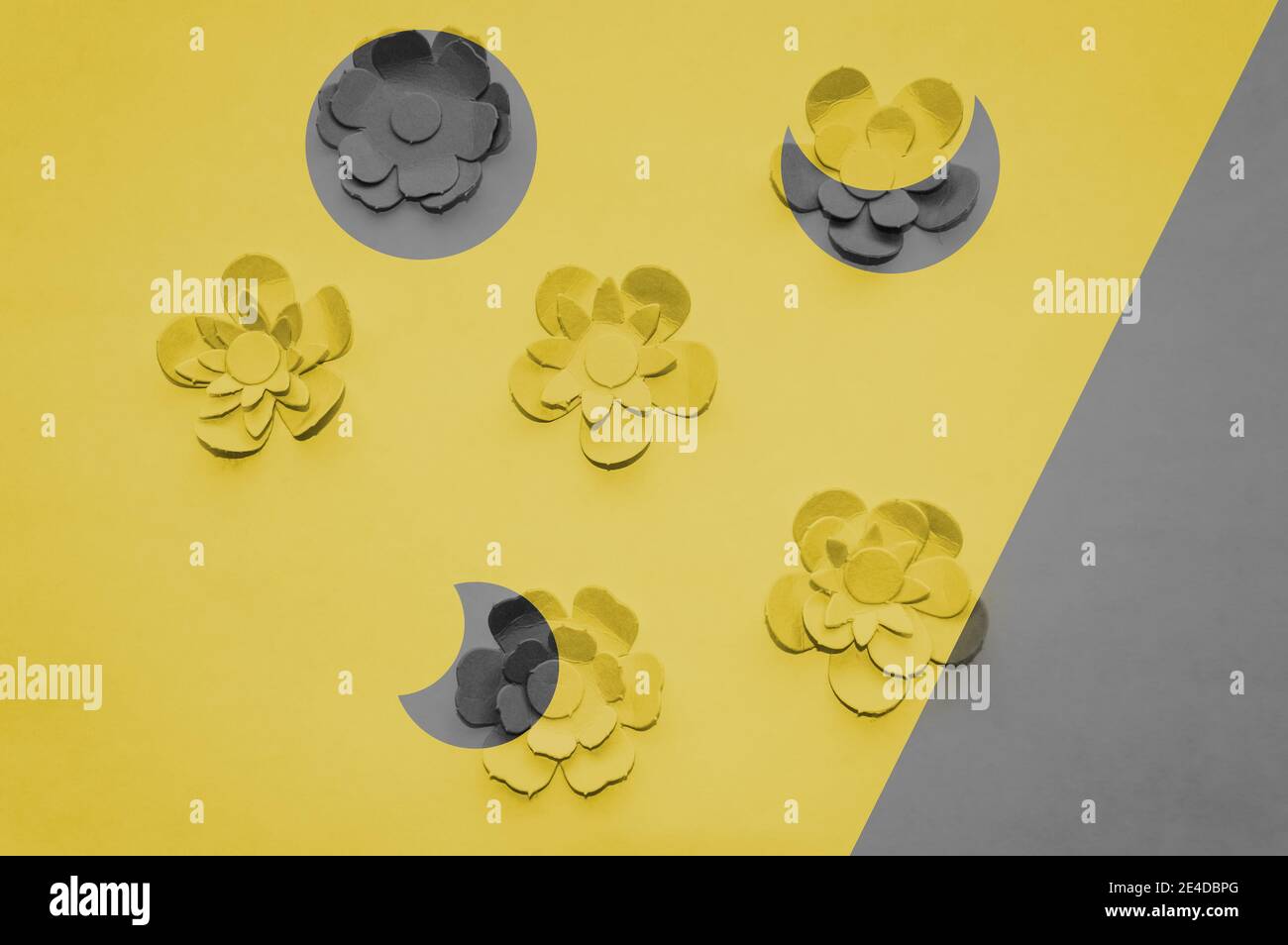 image of paper flowers in fresh yellow color with ultimate grey details ...