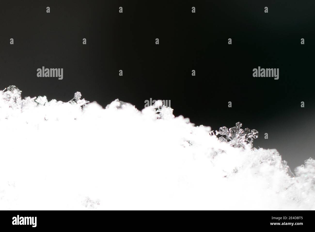 different snow crystals and black background Stock Photo - Alamy