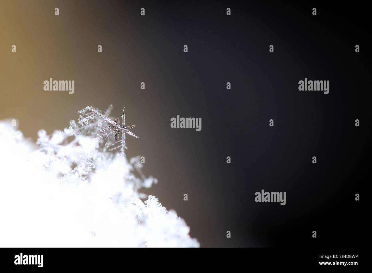 Snow lace hi-res stock photography and images - Alamy