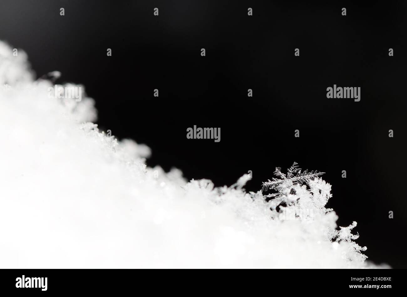 single small snow crystal with many branches with black background ...