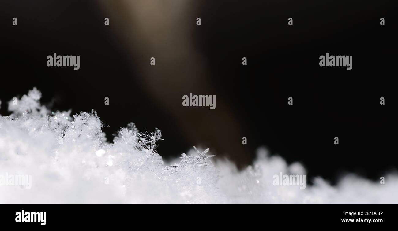 delicate snow crystals with a dark background in winter panorama Stock ...