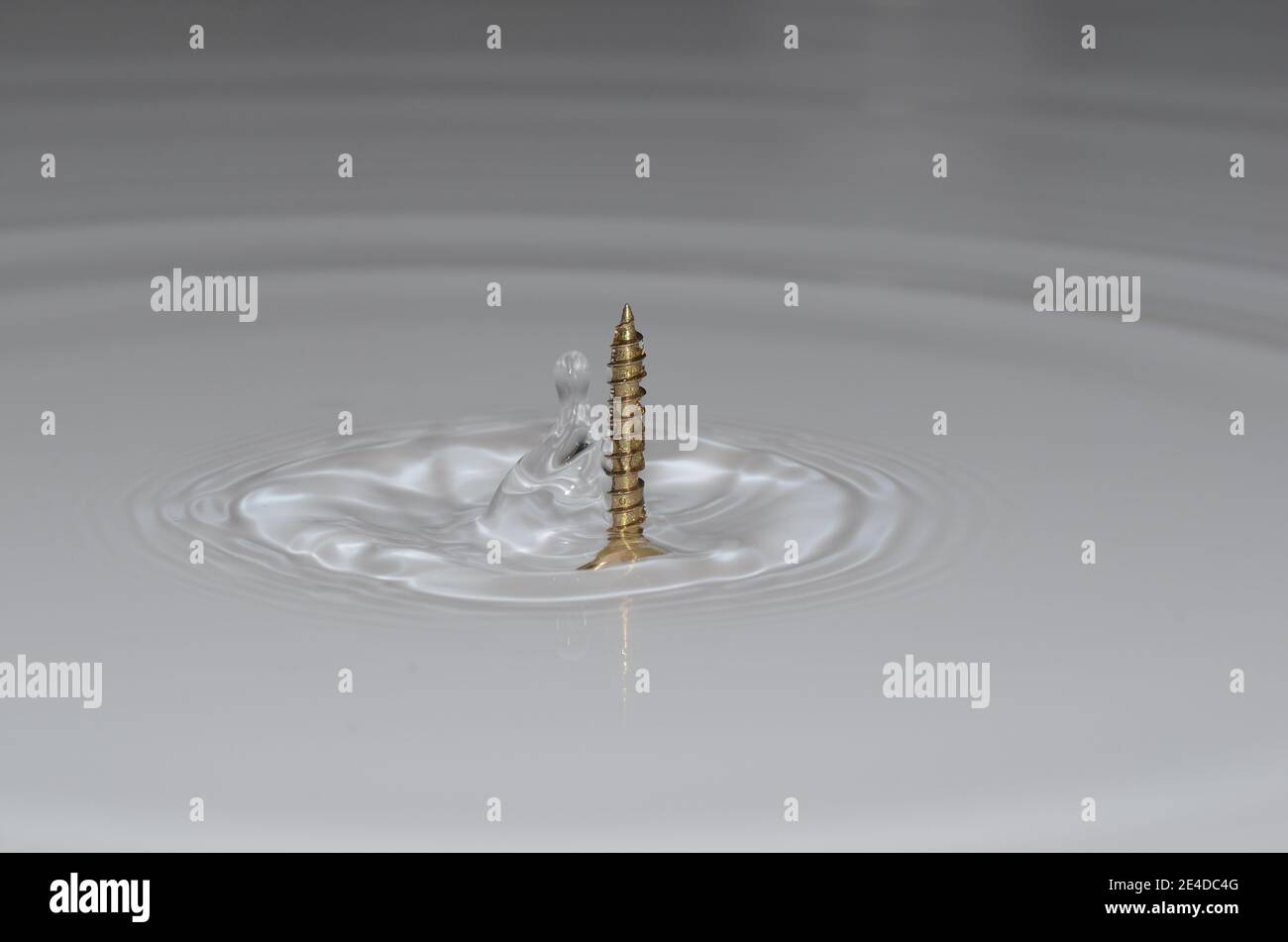 wood screw and water drops with waves Stock Photo - Alamy