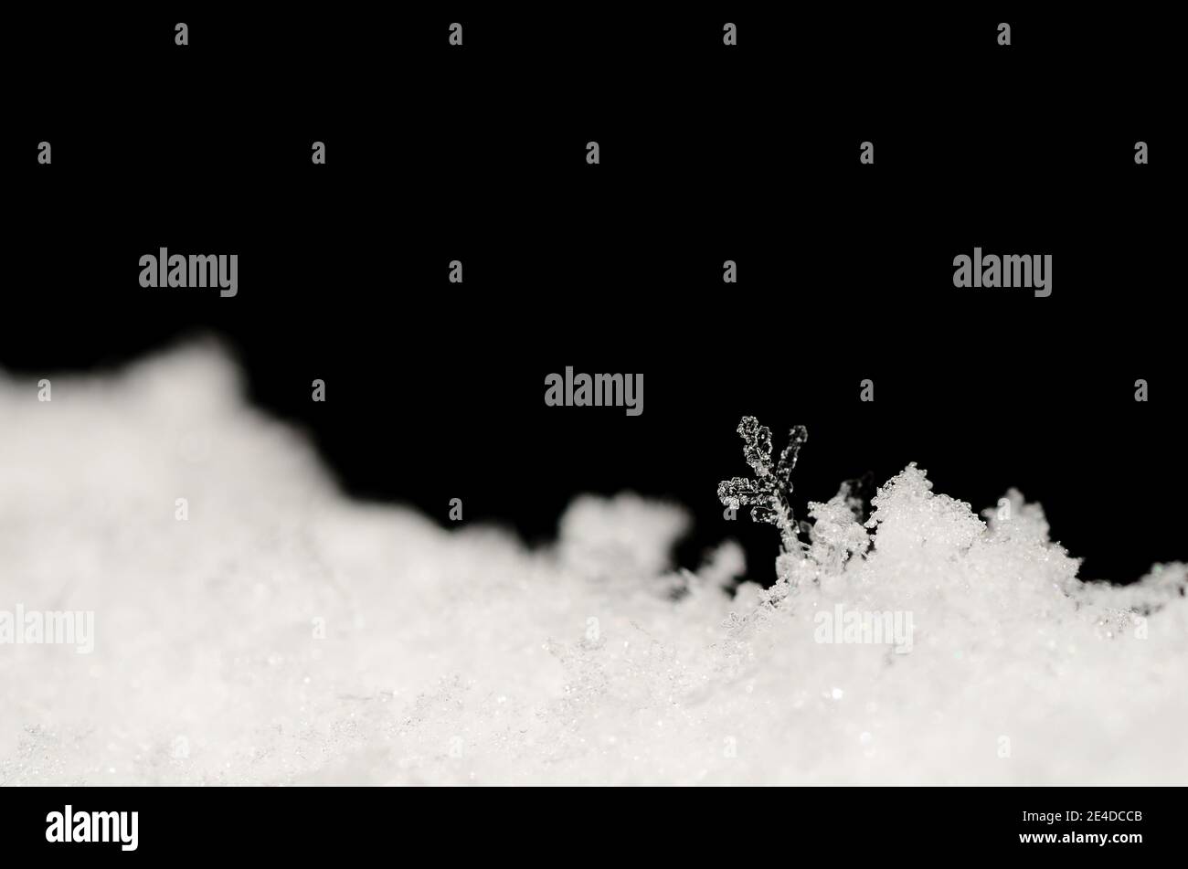 small crystal in the snow stands out Stock Photo - Alamy