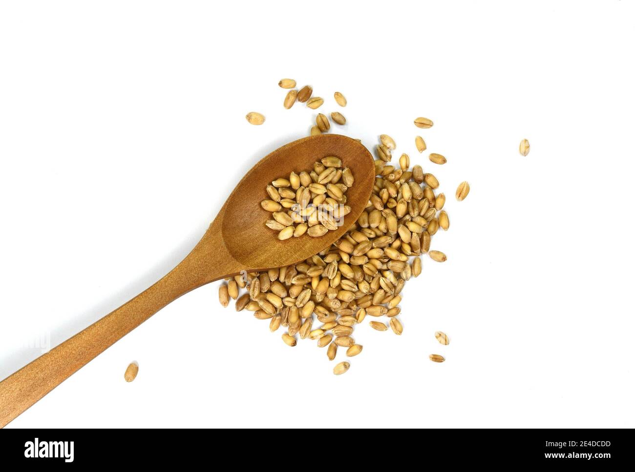 wheat grains in a wooden spoon isolated on white background Stock Photo ...