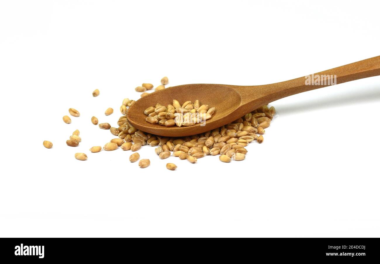 wheat grains in a wooden spoon isolated on white background Stock Photo ...