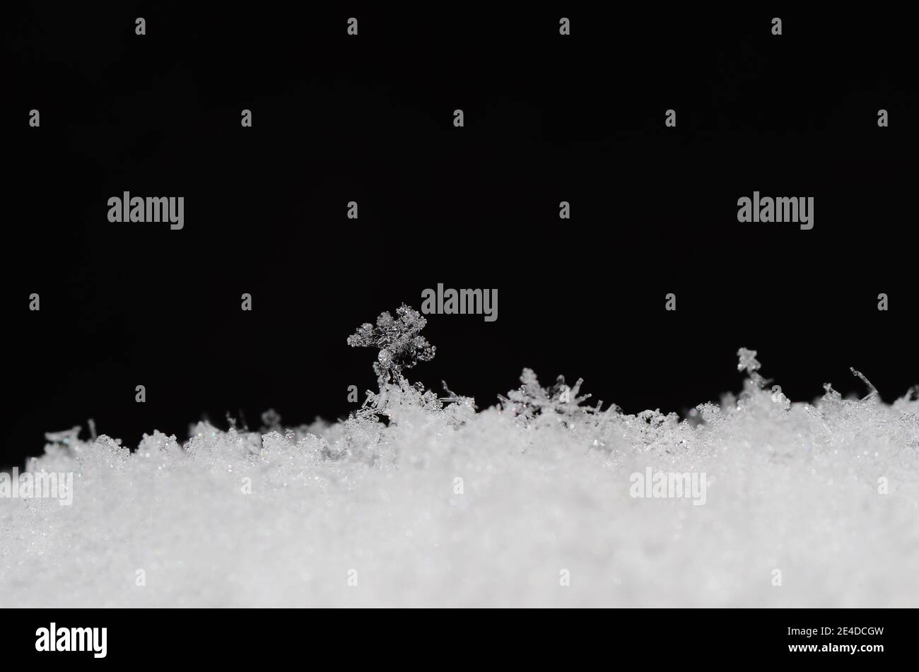 Fragile structures hi-res stock photography and images - Alamy