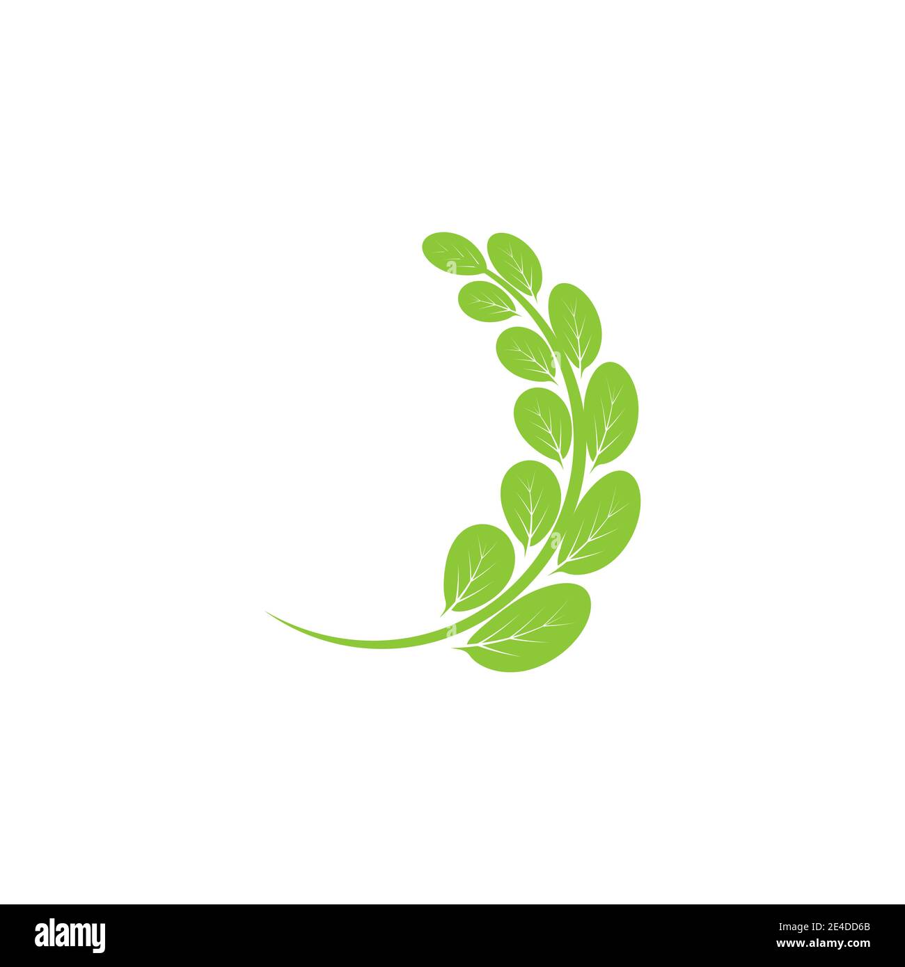 Moringa leaf Logo Template vector symbol nature Stock Vector Image ...