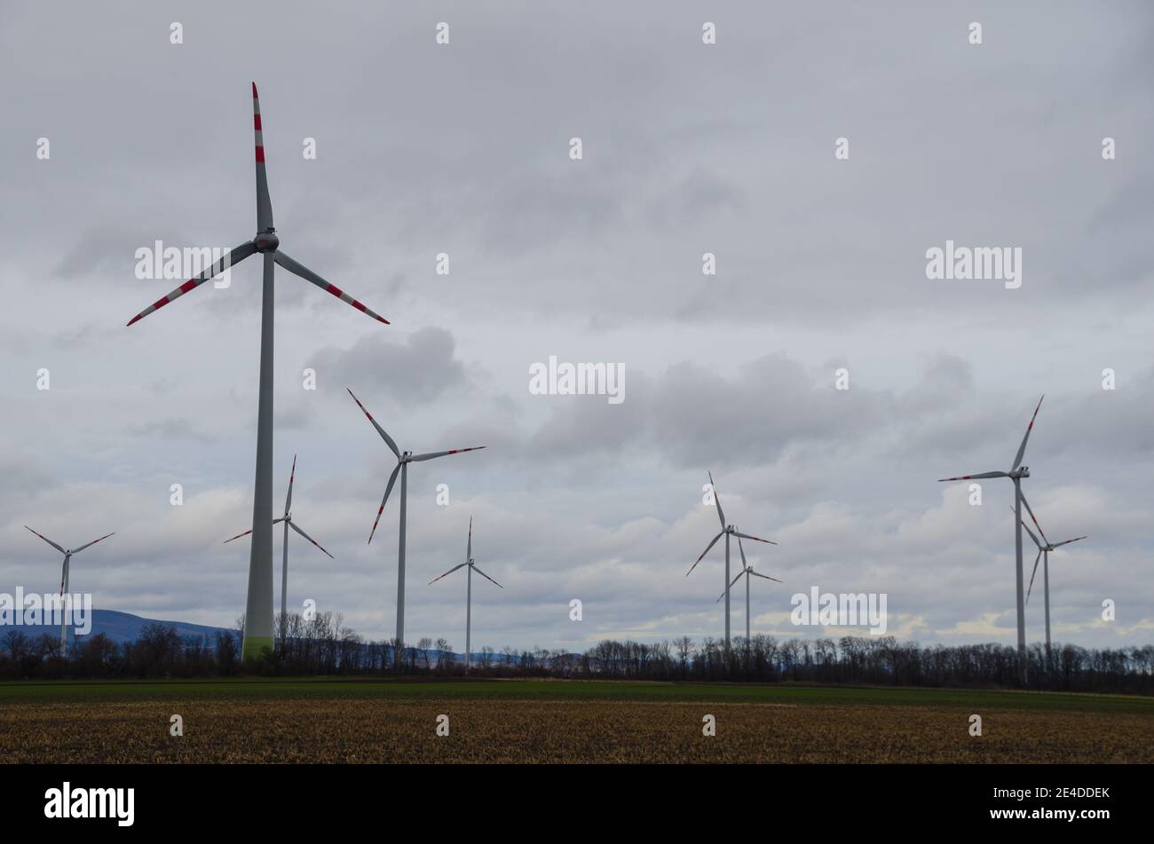 many pinwheels standing on fields in the nature Stock Photo - Alamy