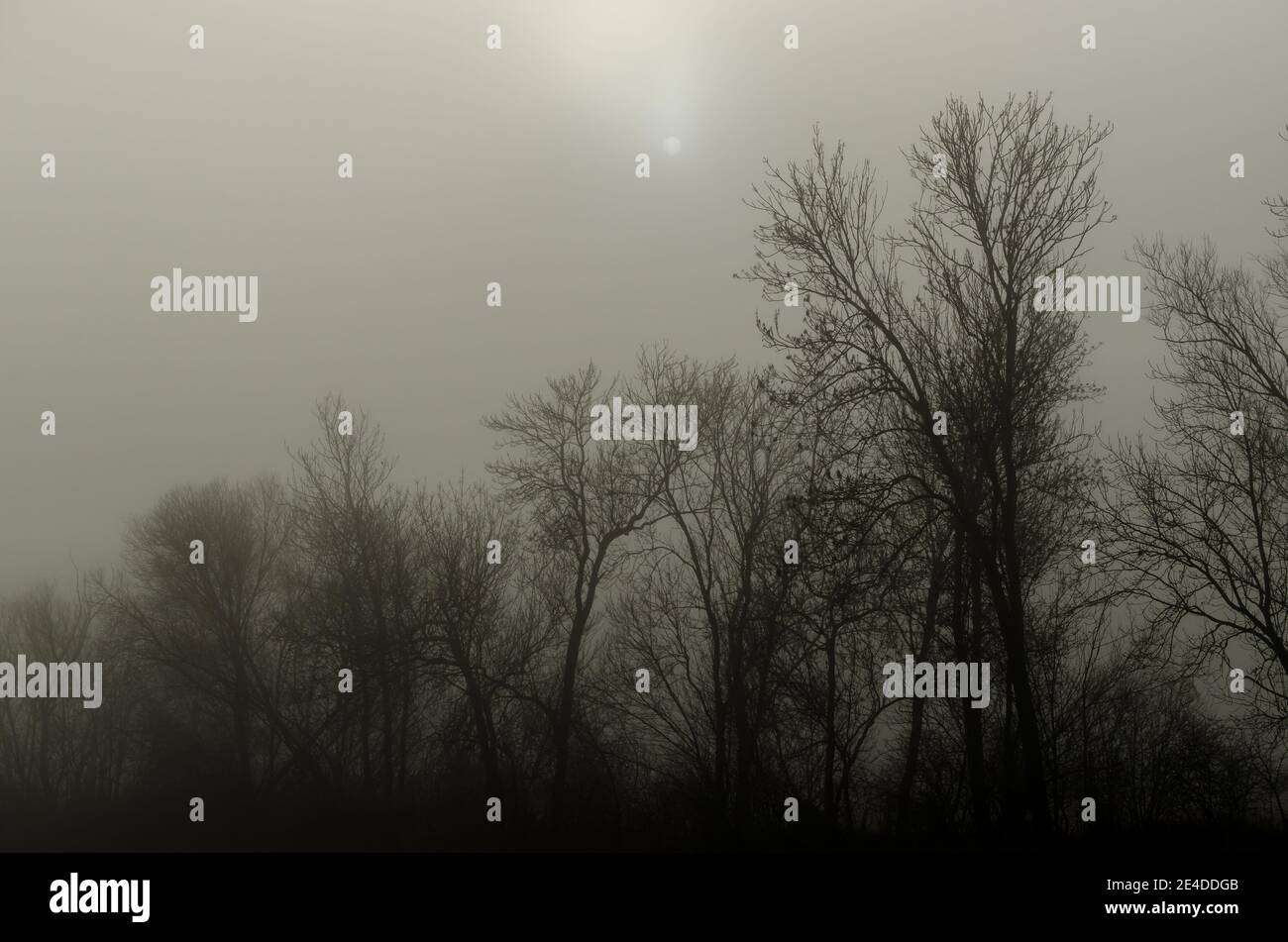 Weak sun hi-res stock photography and images - Alamy