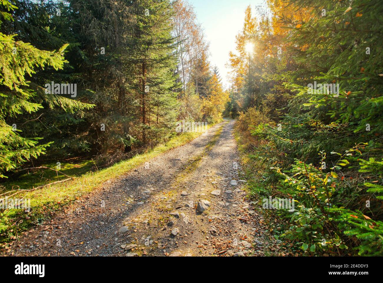 Dust sunbeam hi-res stock photography and images - Alamy