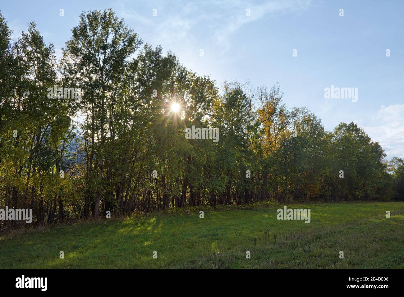 Low sun through tree branches hi-res stock photography and images - Alamy