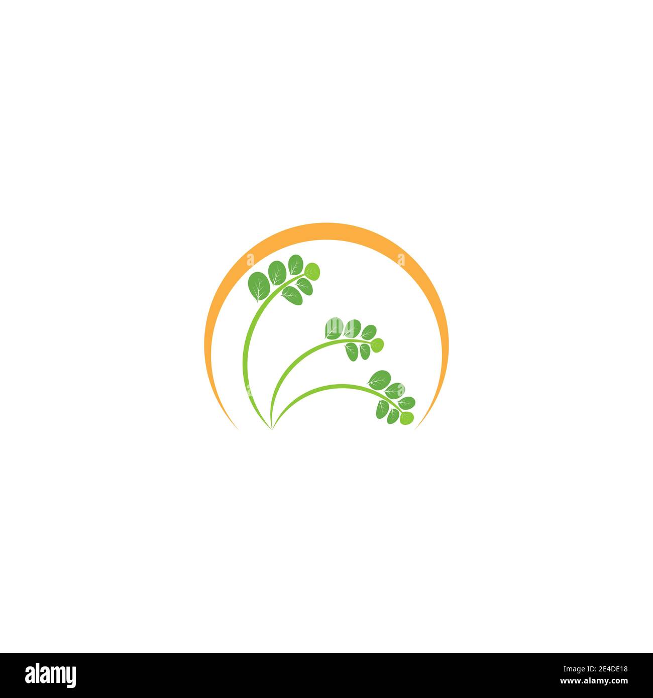 Moringa leaf Logo Template vector symbol nature Stock Vector Image ...