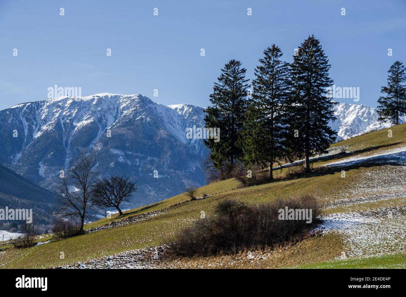 green hills and trees with high Stock Photo - Alamy
