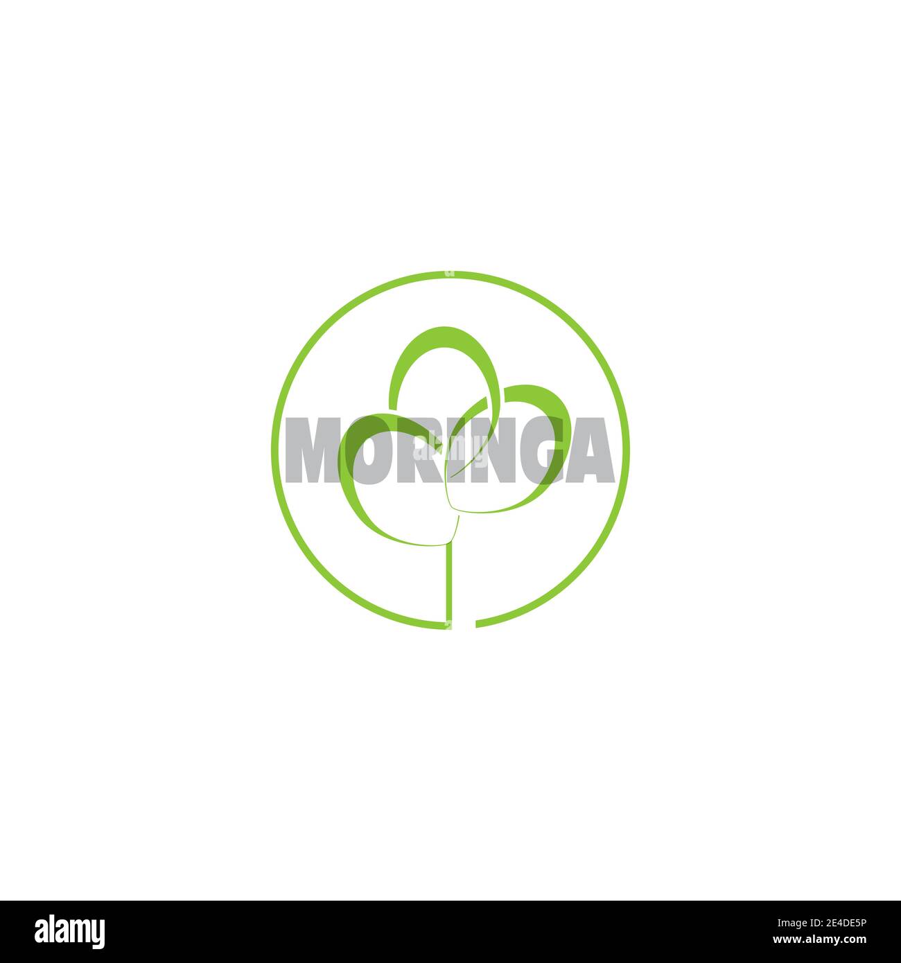 Moringa leaf Logo Template vector symbol nature Stock Vector Image ...