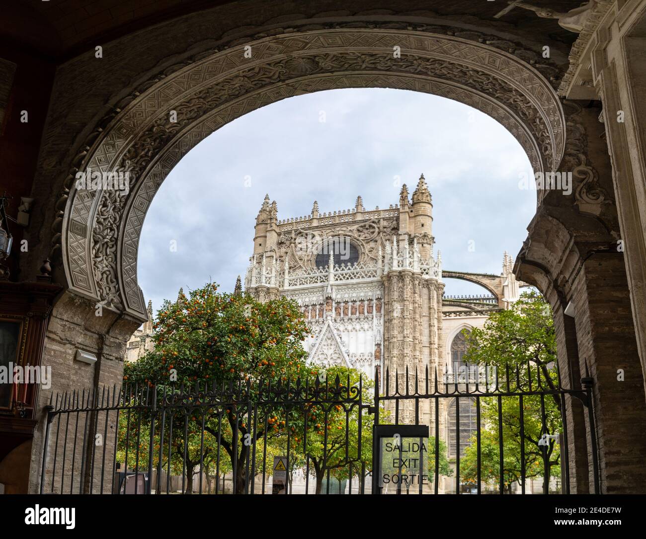 Many orange trees with the cathedral of Seville in the background Stock ...