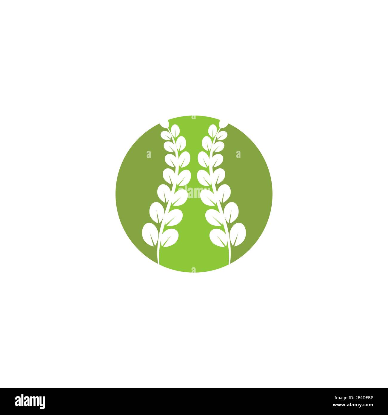 Moringa leaf Logo Template vector symbol nature Stock Vector Image ...