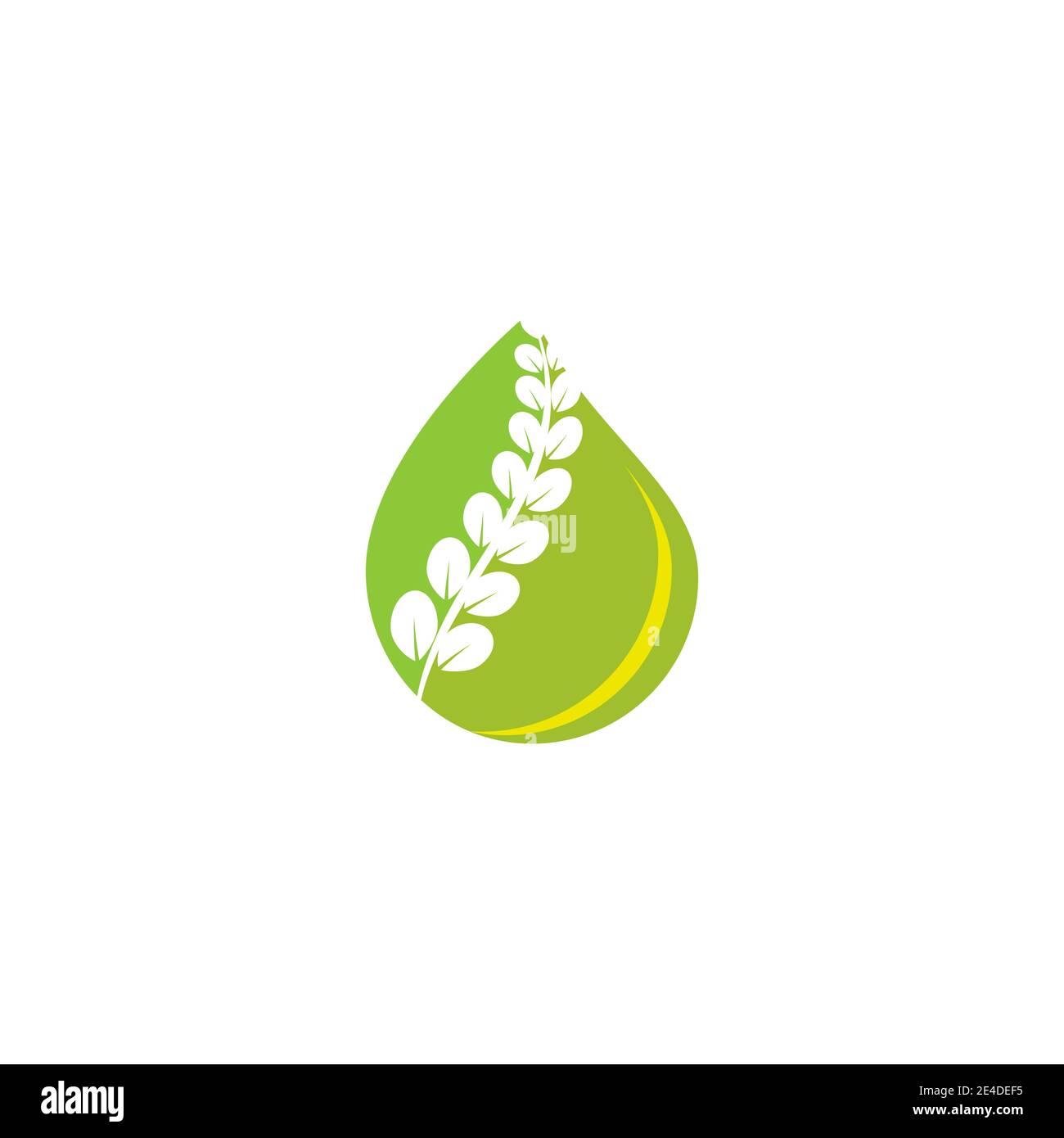 Moringa leaf Logo Template vector symbol nature Stock Vector Image ...