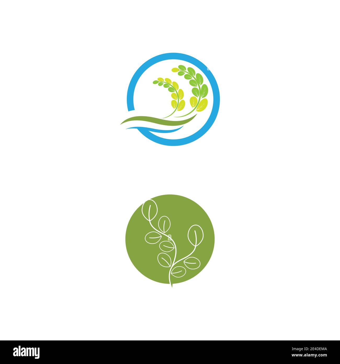 Moringa leaf Logo Template vector symbol nature Stock Vector Image ...