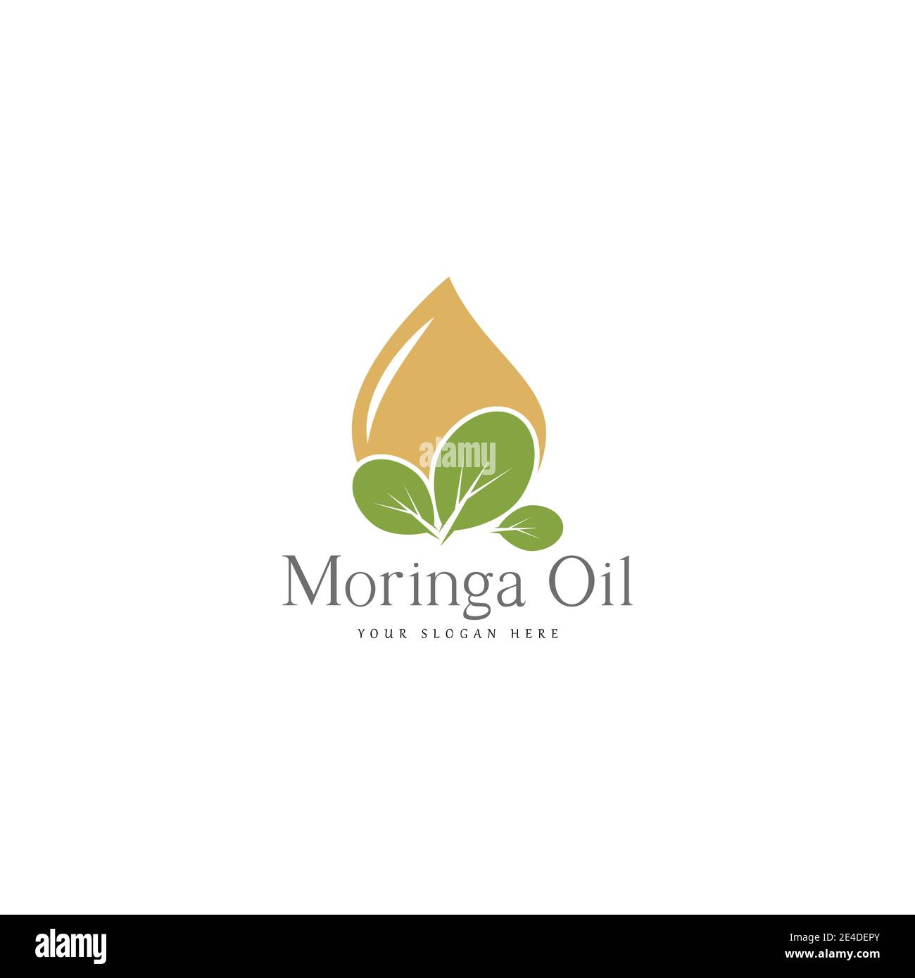 Moringa leaf Logo Template vector symbol nature Stock Vector Image ...