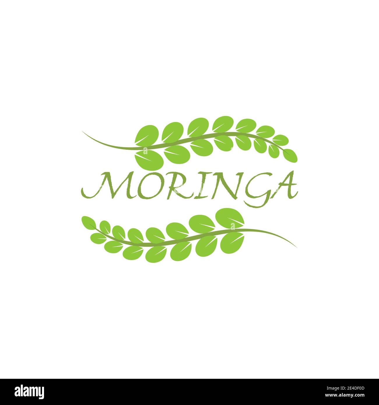 Moringa leaf Logo Template vector symbol nature Stock Vector Image ...