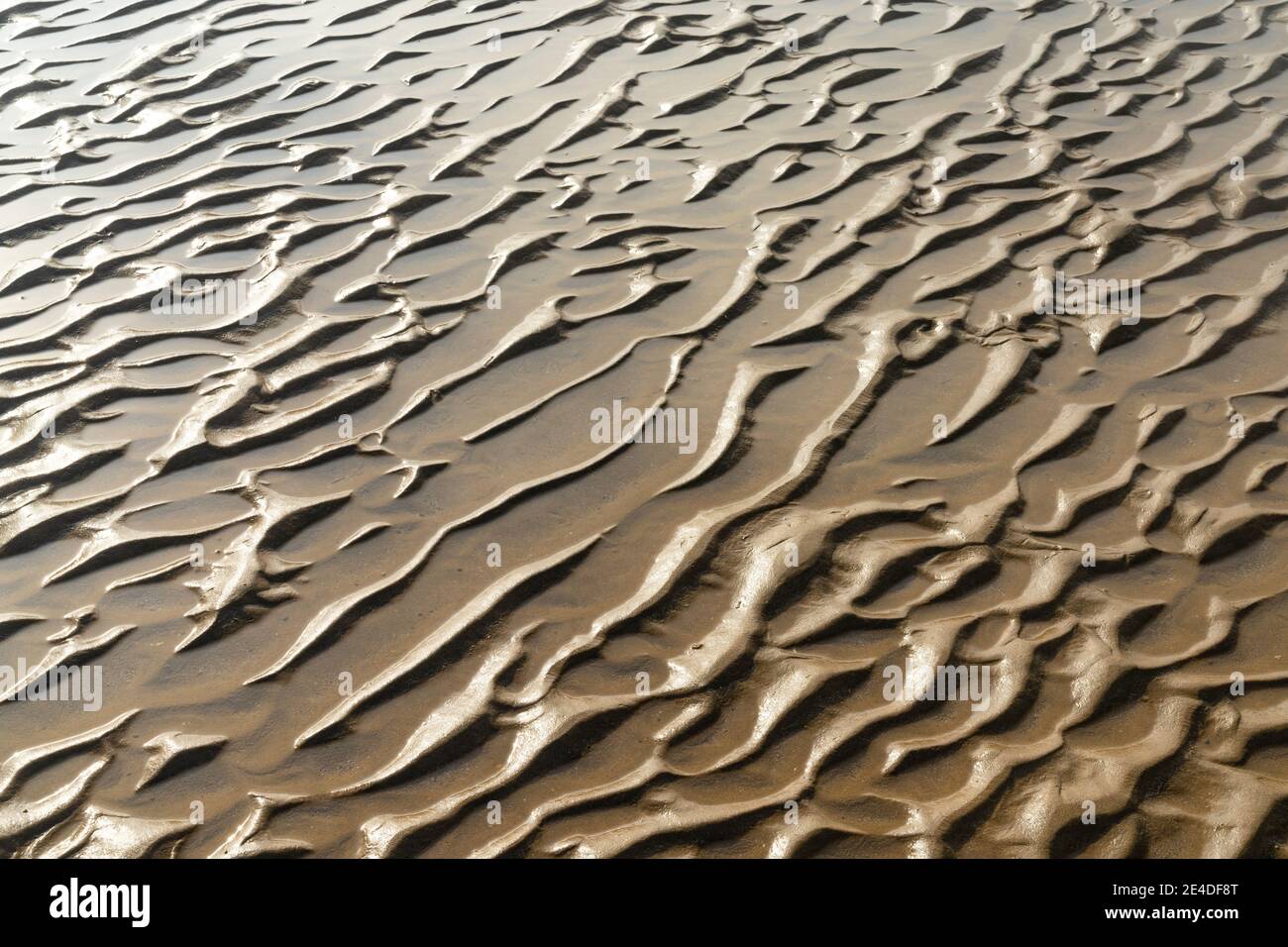 A close up view of sand structures at low tide on a beach Stock Photo ...