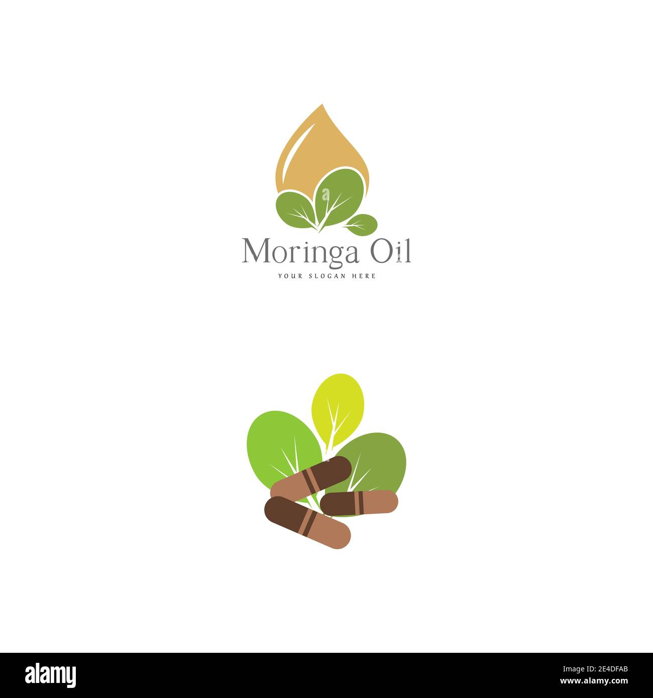 Moringa leaf Logo Template vector symbol nature Stock Vector Image ...