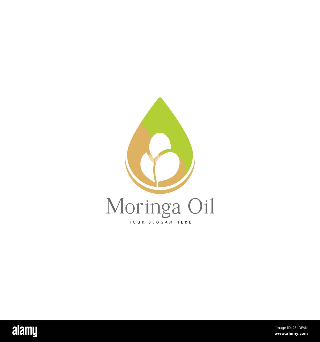 Moringa leaf Logo Template vector symbol nature Stock Vector Image ...