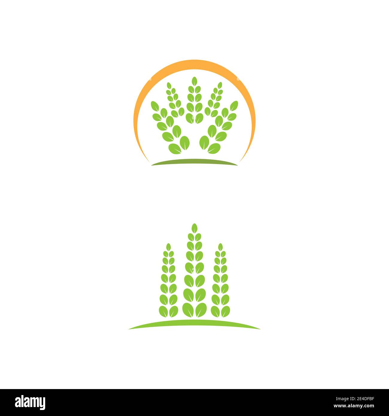 Moringa leaf Logo Template vector symbol nature Stock Vector Image ...