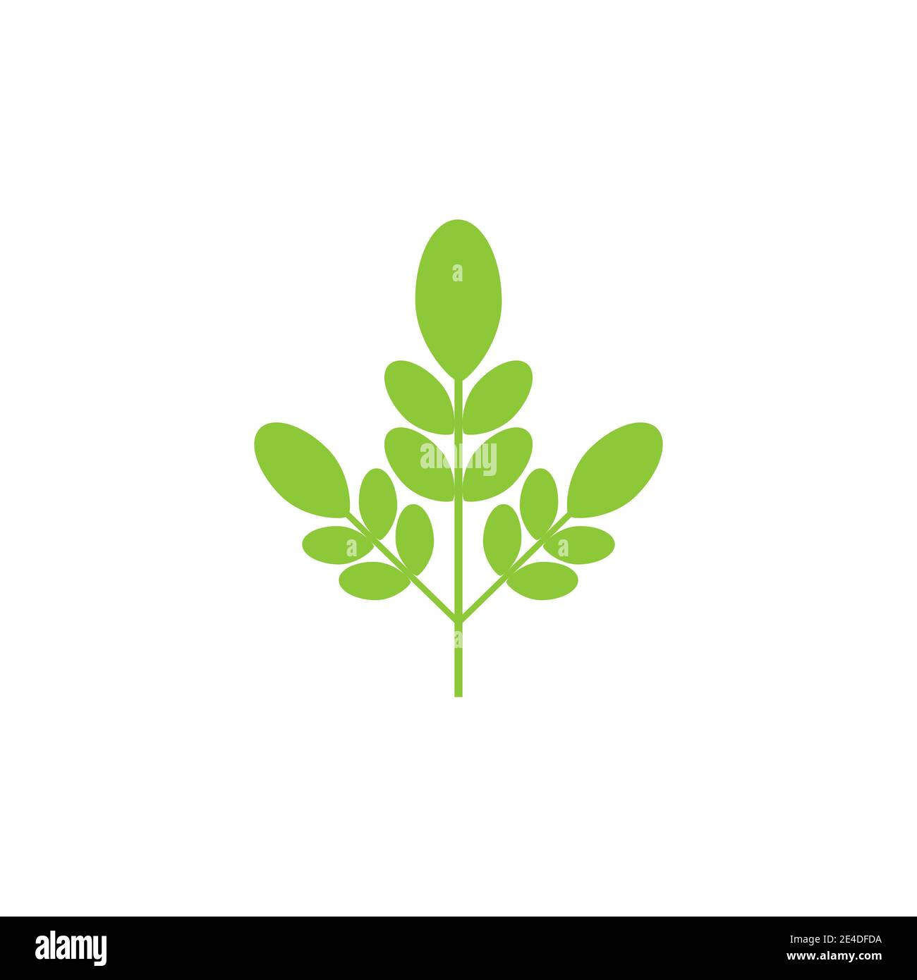 Moringa leaf Logo Template vector symbol nature Stock Vector Image ...