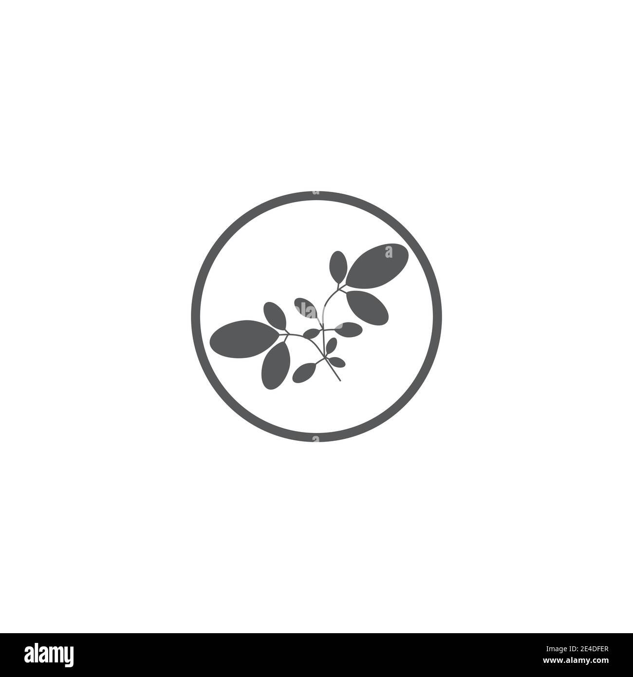 Moringa leaf Logo Template vector symbol nature Stock Vector Image ...