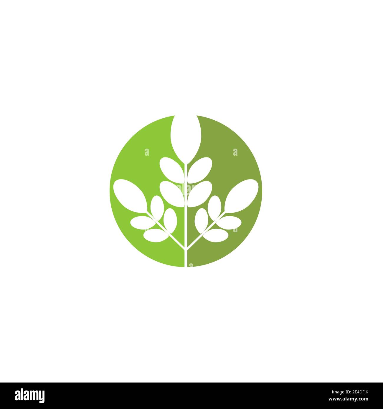 Moringa leaf Logo Template vector symbol nature Stock Vector Image ...