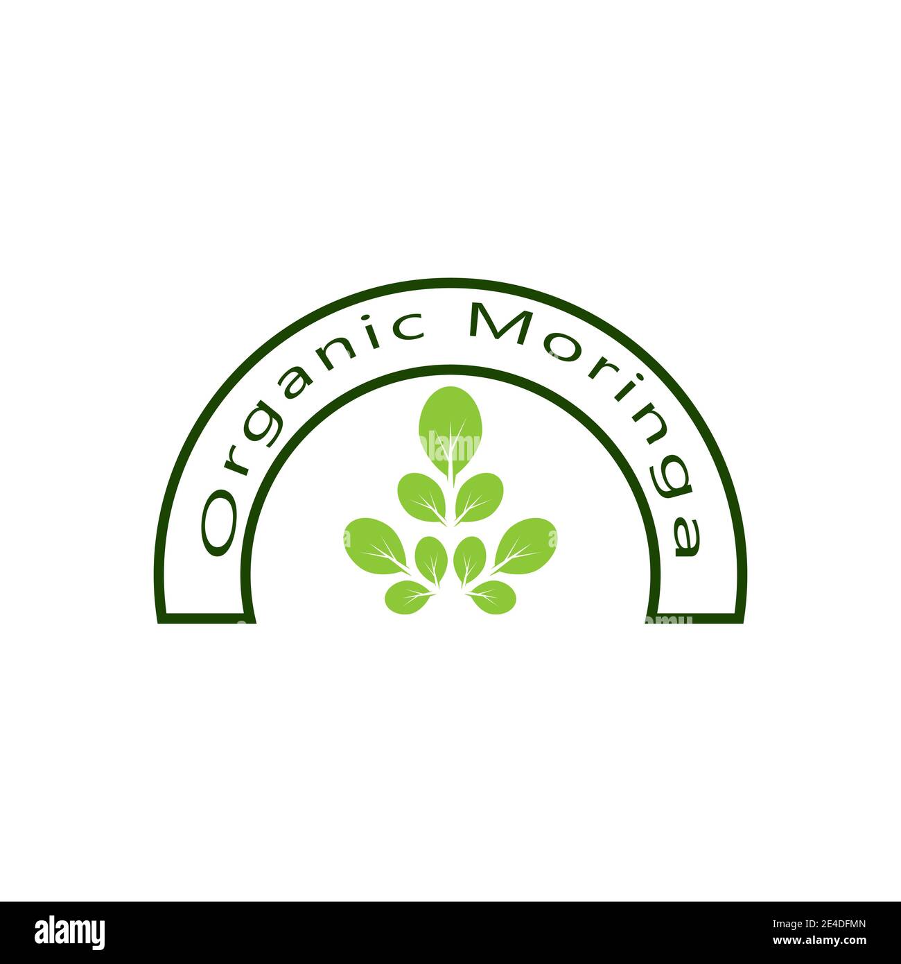 Moringa leaf Logo Template vector symbol nature Stock Vector Image ...