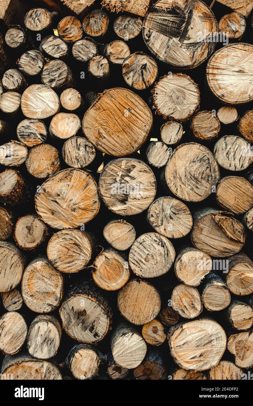 Pile of firewood forming a wall, environmental ecology problems ...