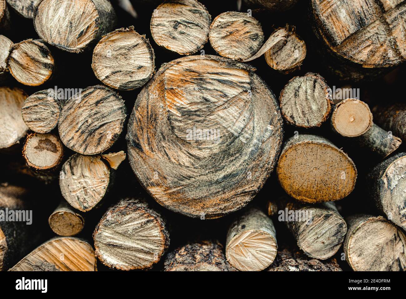 Closeup of stacked logs for firewood, environmental ecology problems ...