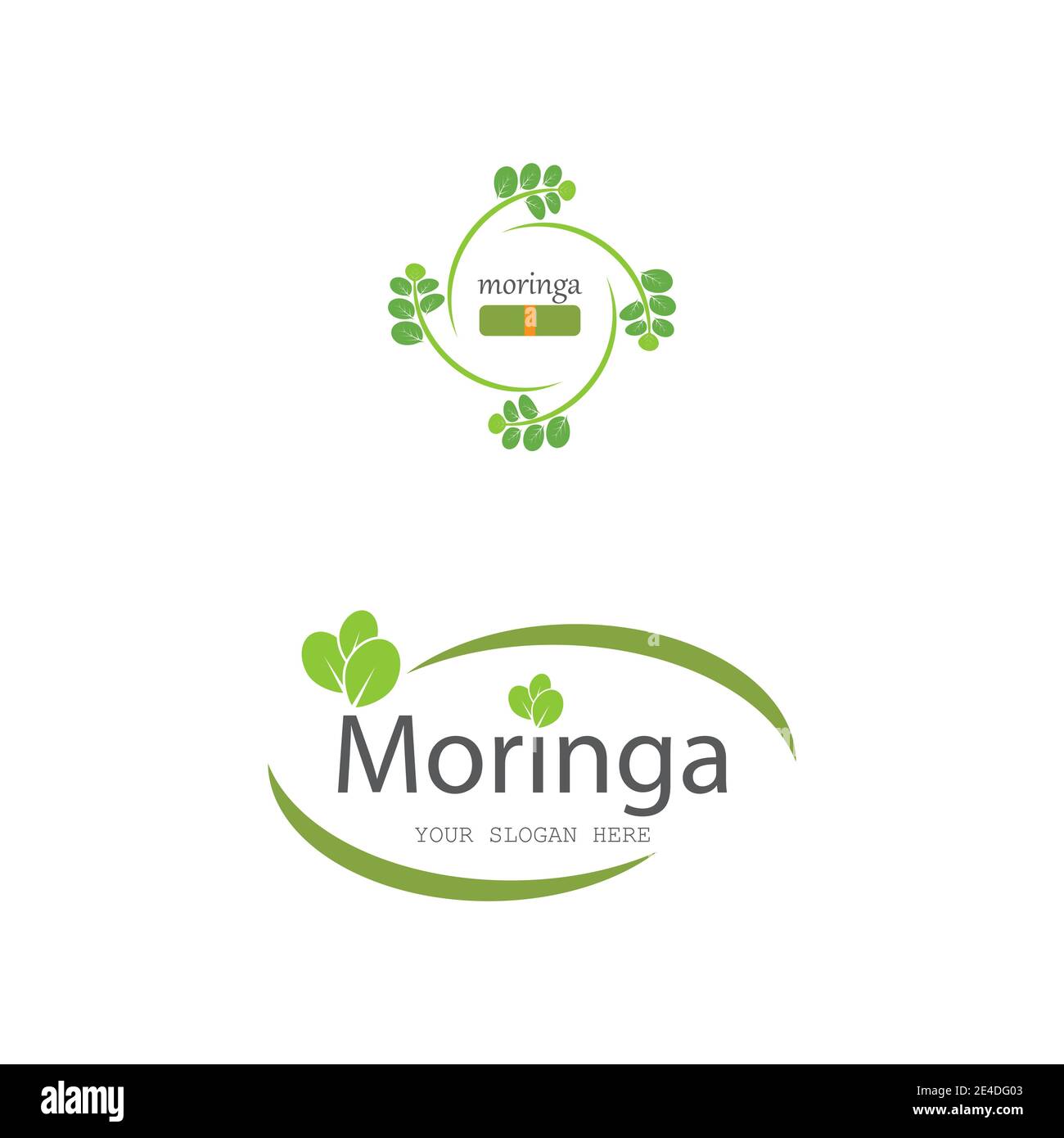 Moringa leaf Logo Template vector symbol nature Stock Vector Image ...