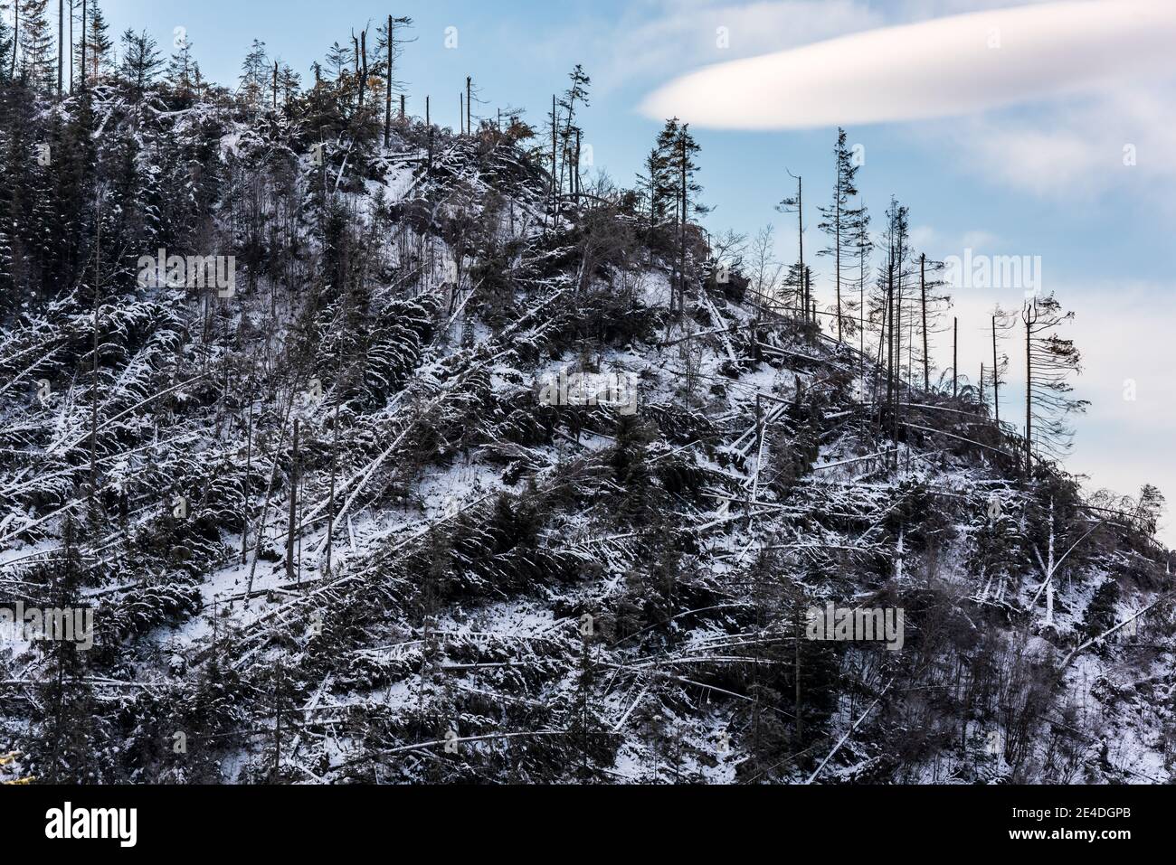 Environmental damages hi-res stock photography and images - Alamy