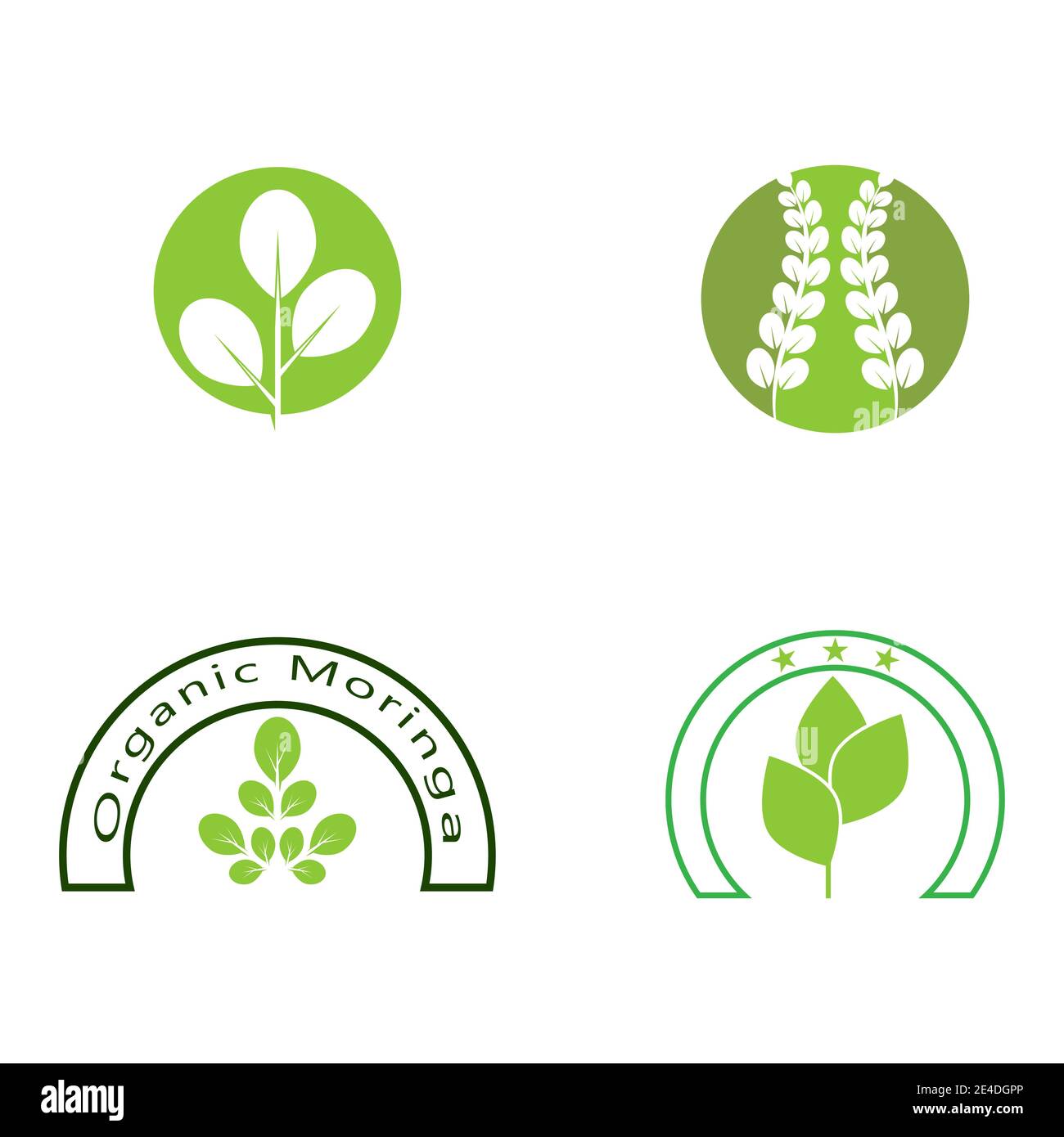 Set Moringa leaf Logo Template vector symbol nature Stock Vector Image ...