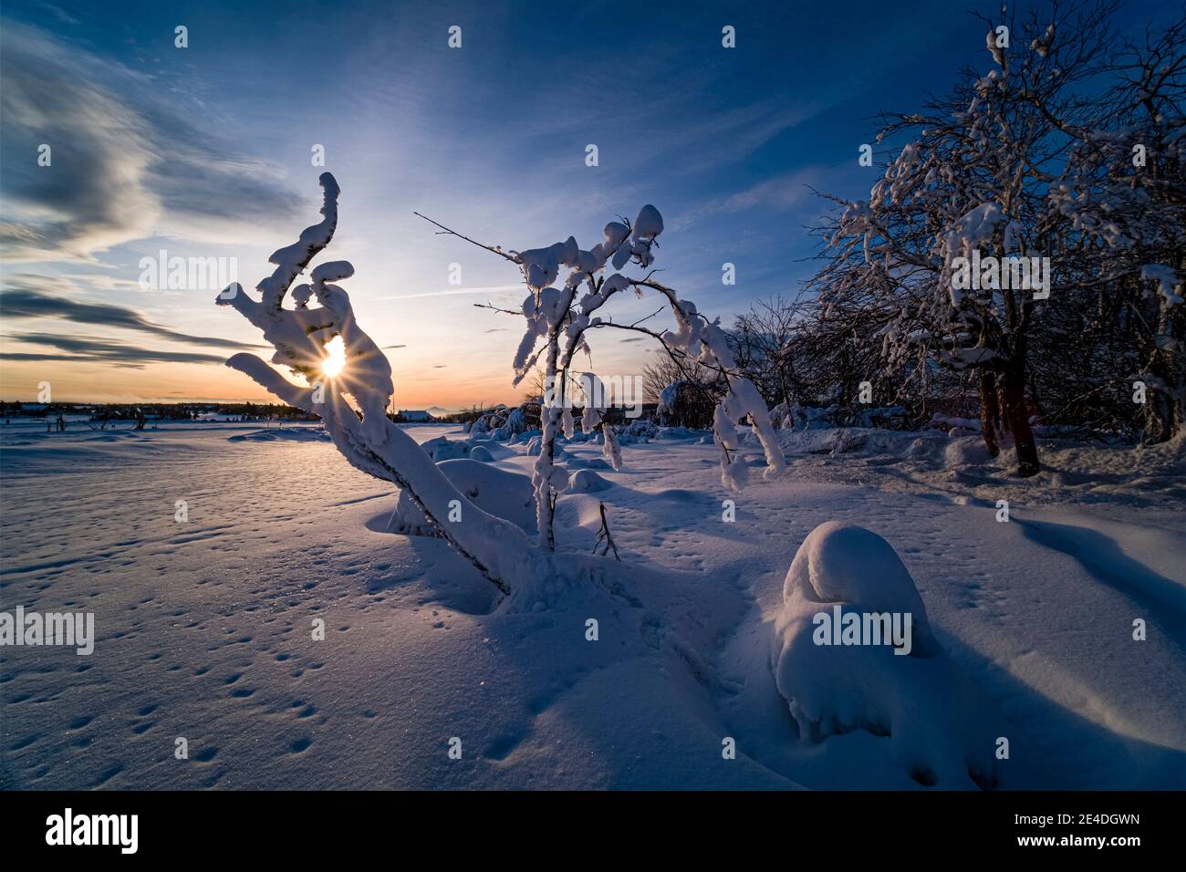 Sunny day frost hi-res stock photography and images - Alamy