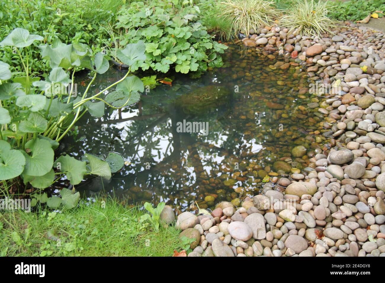 Pebble pond hi-res stock photography and images - Alamy