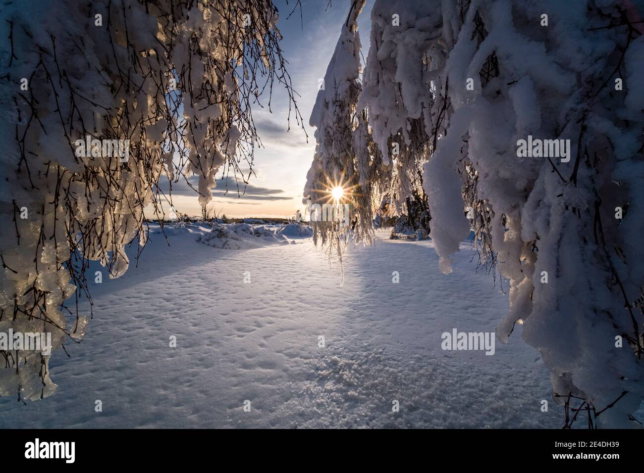 Sunny day frost hi-res stock photography and images - Alamy