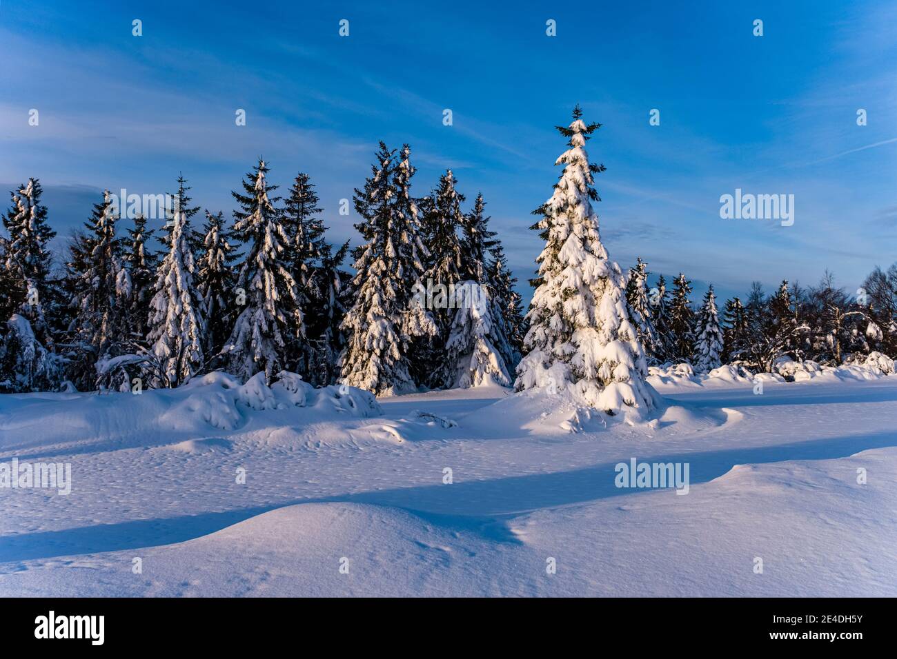 Sunny day frost hi-res stock photography and images - Alamy